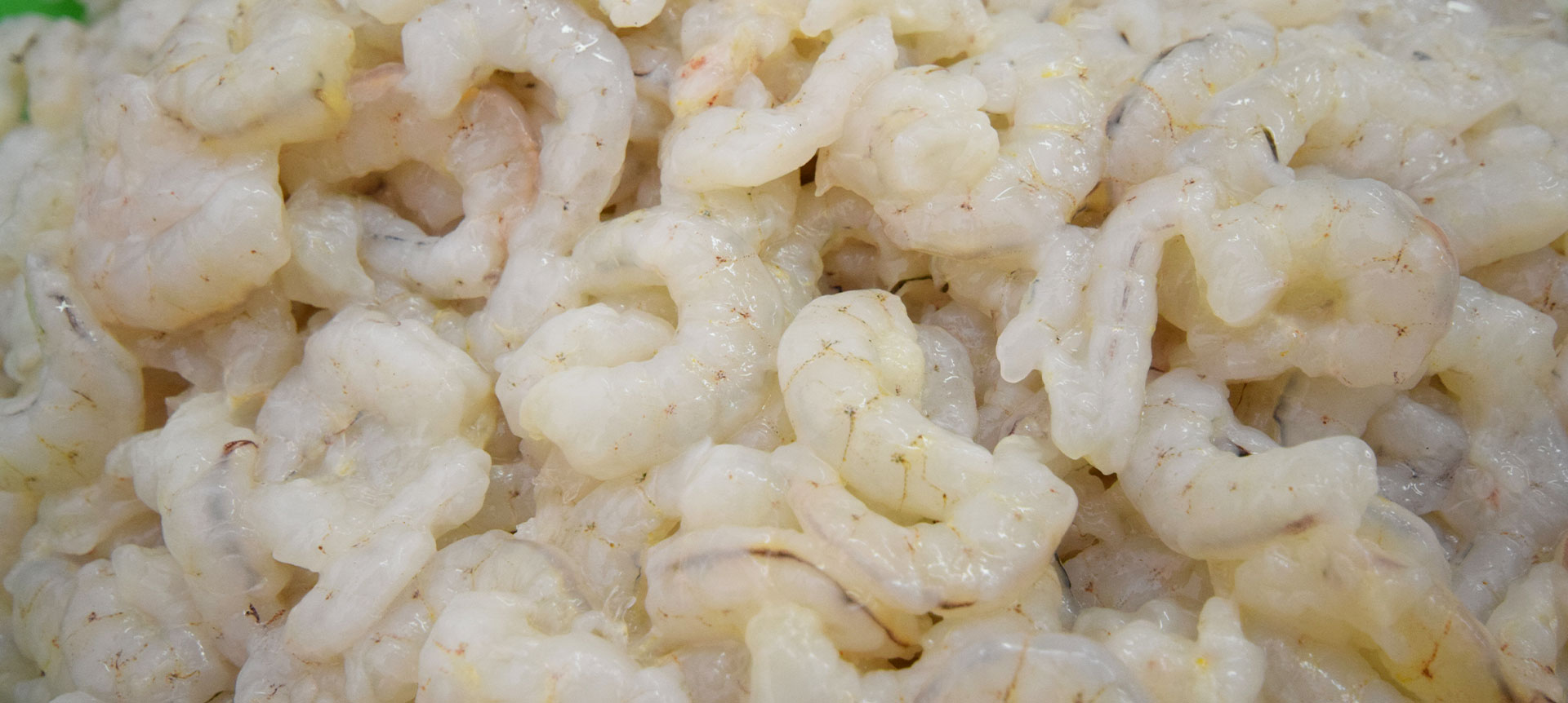 Natluk – Seafood Supplier Ecuador