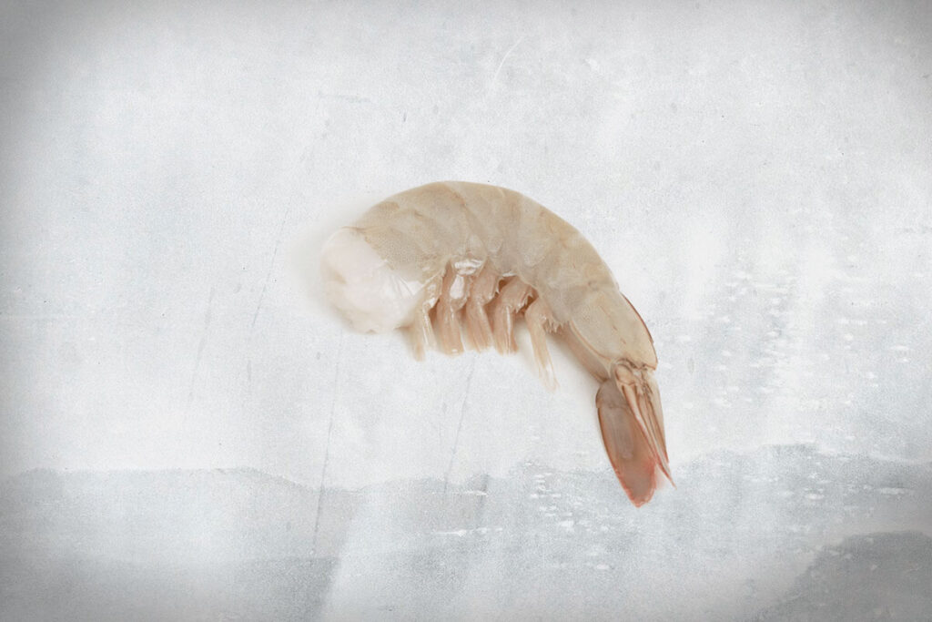 Shrimp Head Less Shell On – Natluk